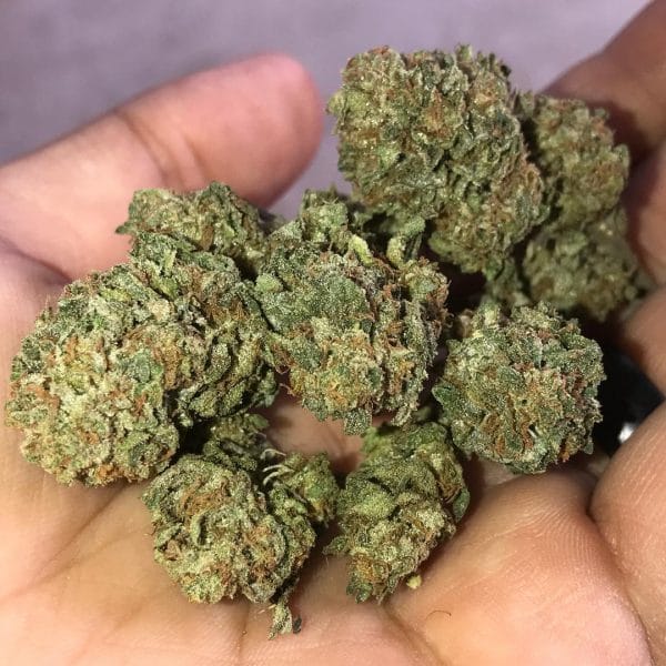 Alien OG Weed Strain | Buy Weed Online Discreet Shipping